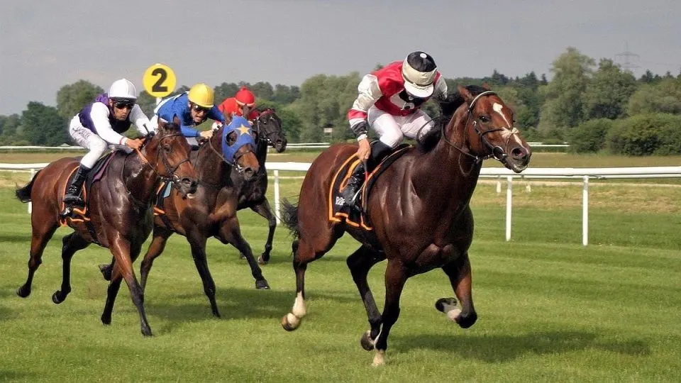 How Fast Can a Horse Run? Fastest Horses in History