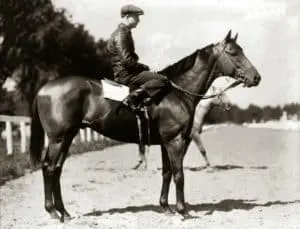 10 Most Famous Horses in History (Facts, Stats & Pictures)