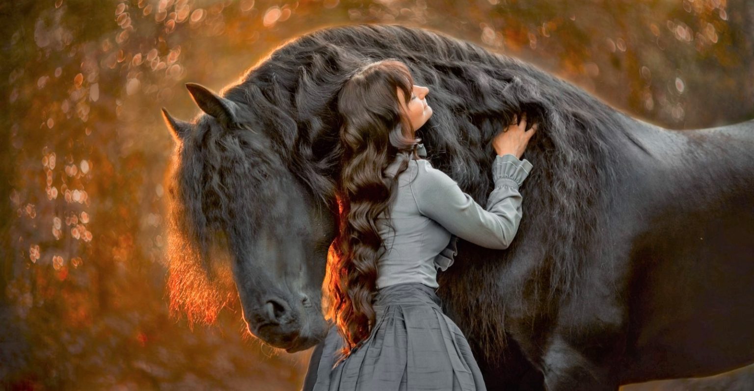 12 Interesting Black Beauty 1994 Horse Movie Facts