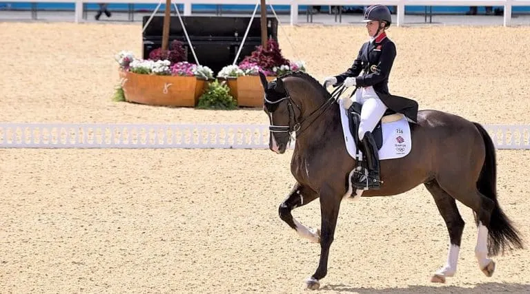 Valegro Dressage Horse History, Facts, Stats, Record, and FAQs