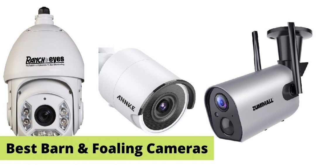 5 Best Barn & Foaling Camera Systems (Wireless & Waterproof)