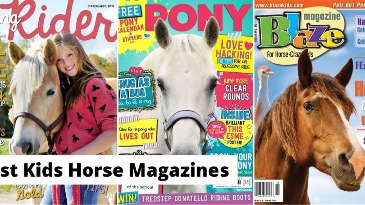 8 Best Horse Subscription Boxes for Equestrians (Kids & Adults)