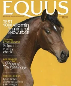 12 Best Horse Magazines for Horse Lovers and Equestrians