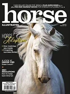 12 Best Horse Magazines for Horse Lovers and Equestrians