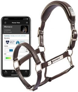 5 Best Barn & Foaling Camera Systems (Wireless & Waterproof)