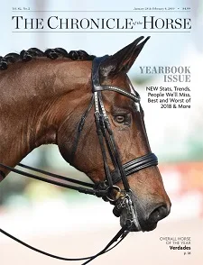 12 Best Horse Magazines for Horse Lovers and Equestrians