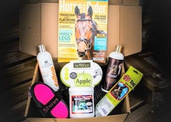7 Best Horse Subscription Boxes for Equestrians (Kids & Adults)