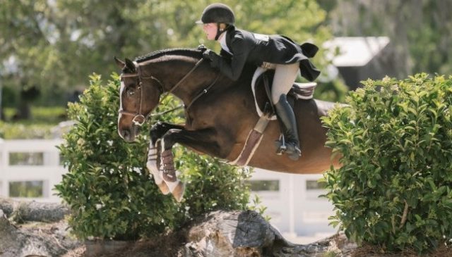 Best Equestrian Colleges & Universities in the United States