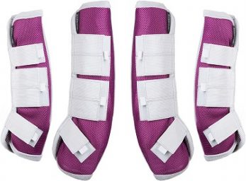 6 Best Horse Fly Boots That Combine Protection and Comfort