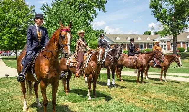 Best Equestrian Colleges & Universities in the United States