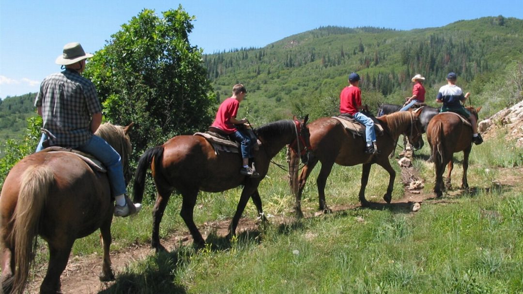 14 Best California Horseback Riding Trails, Beaches, and Centers
