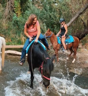 14 Best California Horseback Riding Trails, Beaches, and Centers