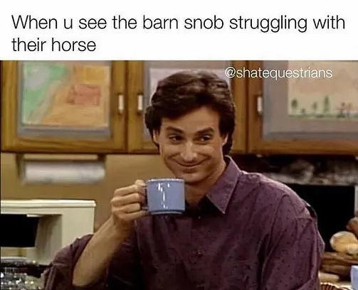 40 Funny Horse Memes Equestrians Will Find Hilarious
