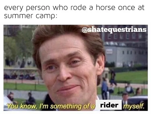 40 Funny Horse Memes Equestrians Will Find Hilarious