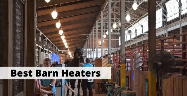 7 Best Barn & Stall Heaters for Horses & Livestock