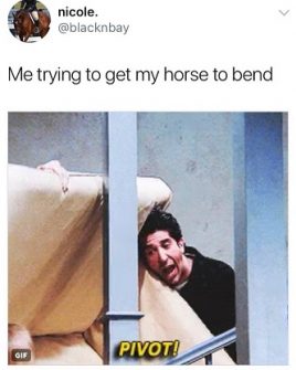 40 Funny Horse Memes Equestrians Will Find Hilarious