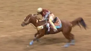 7 Most Famous Barrel Racing Horses in History