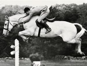 11 Best Showjumping Horses of All Time (Photos & History)