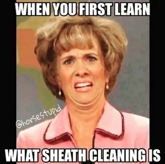 40 Funny Horse Memes Equestrians Will Find Hilarious