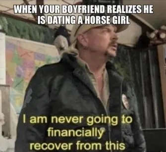 40 Funny Horse Memes Equestrians Will Find Hilarious