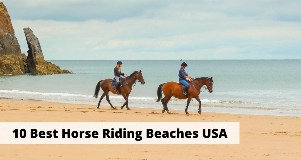 10 Best Beaches for Horseback Riding in the United States