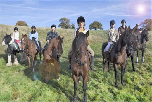 7 Interesting Facts You Didn't Know About the Free Rein TV Series