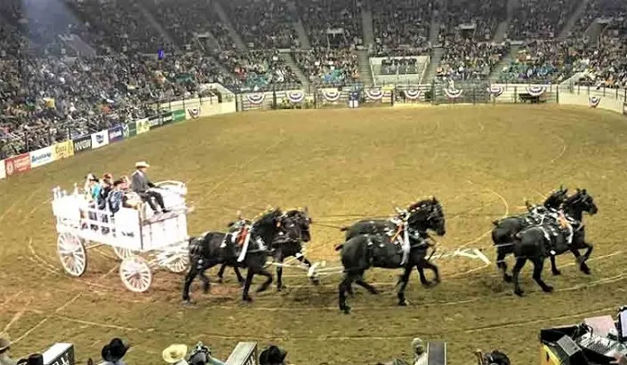 8 Biggest Rodeos in the World
