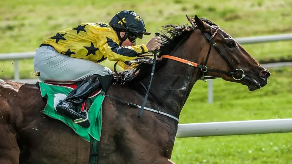 Native Mexican Horse Breeds (History, Facts & Images)