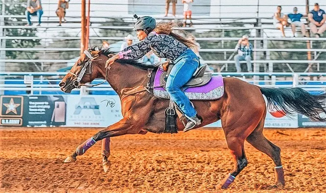 10 Facts & FAQs About Fallon Taylor, Famous Barrel Racer