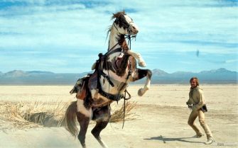 8 Hidalgo Facts You Probably Didn't Know