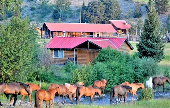 10 Best Montana Horseback Riding Vacations