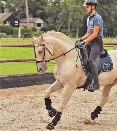 11 Facts & FAQs About Jesse Drent, Famous Instagram Equestrian