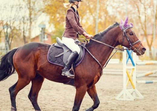 Do Horses Like Being Ridden? Ultimate Impartial Guide