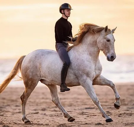 11 Facts & FAQs About Jesse Drent, Famous Instagram Equestrian