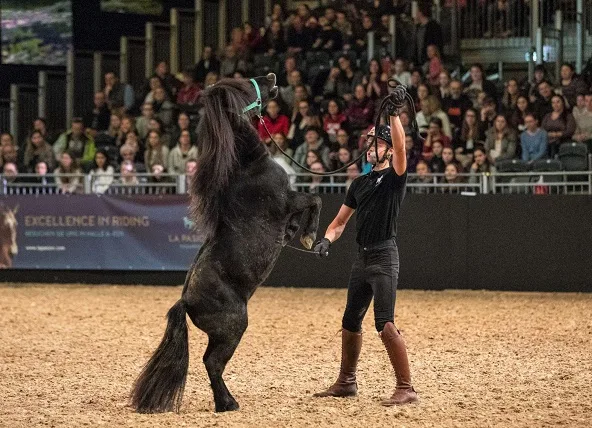 11 Facts & FAQs About Jesse Drent, Famous Instagram Equestrian