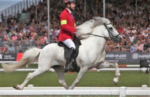 What is a Gaited Horse? Breeds, Types of Gaits & FAQs Answered