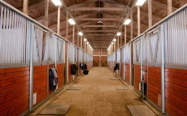 6 Best Barn & Stable Lights - Types & Which One Is Best For You