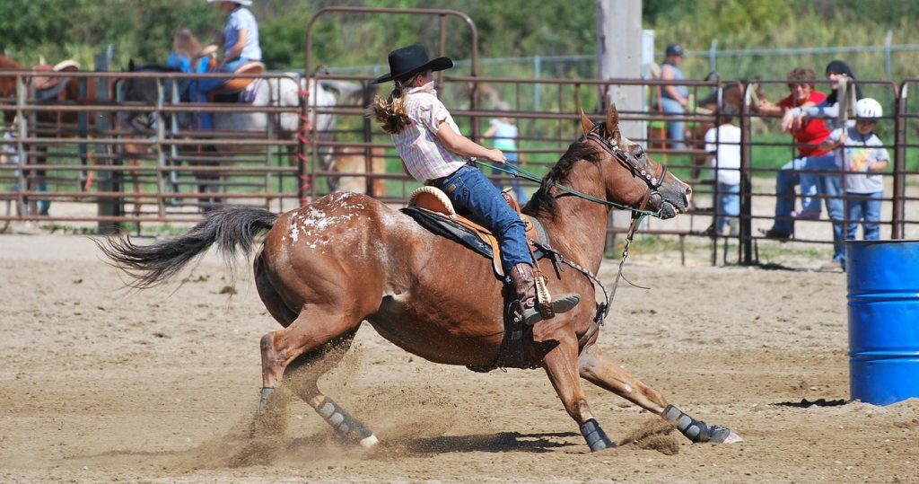 35 Best Rodeo Quotes & Sayings