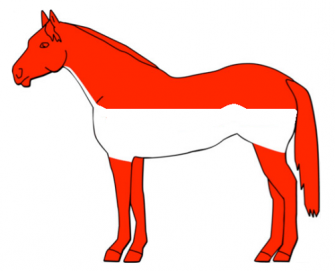 Horse Clipping Guide: Types of Horse Clips & Why Horses are Clipped