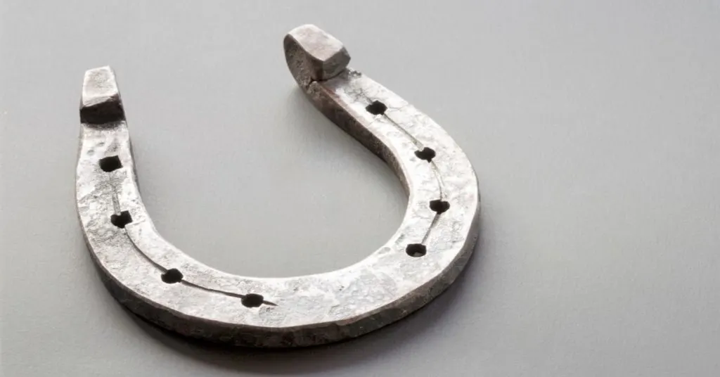 6 Types of Horseshoes & Materials They're Made From