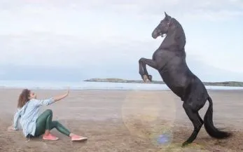 7 Facts & FAQs You Didn’t Know About Raven From Free Rein