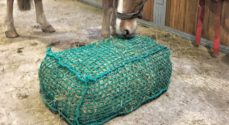 6 Best Slow Feeders For Horses: Ultimate Buyers Guide