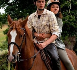 7 Horses From Free Rein TV Series (With Pictures)