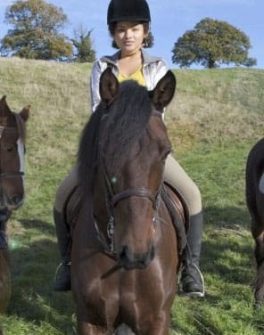 7 Horses From Free Rein TV Series (With Pictures)