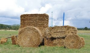 How Much Does a Bale of Hay Weigh?
