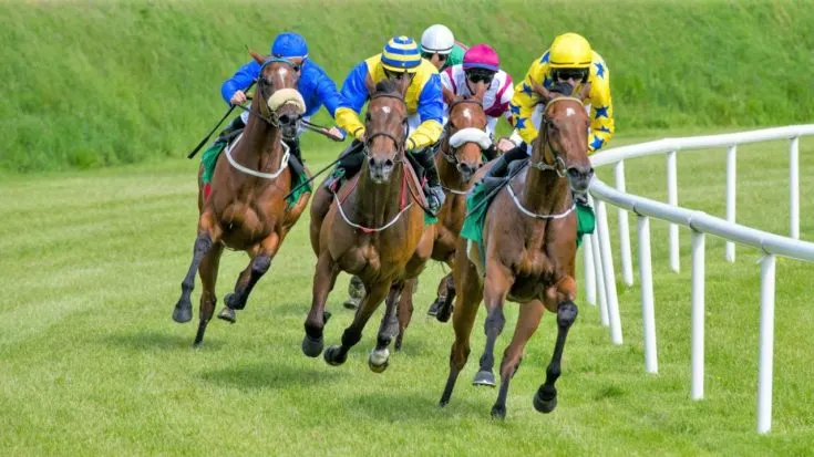 Common Types of Horse Racing Explained Common Types of Horse Racing Explained
