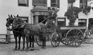 12 Common Types of Horse Drawn Carriages