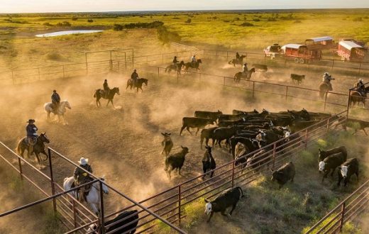 Who Owns 6666 Ranch? Four Sixes Ranch History, Size & Facilities