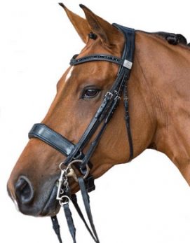 What is a Horse Bridle? Parts, Uses, Types & FAQs Answered