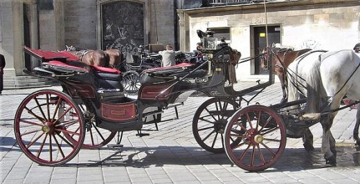 12 Common Types of Horse Drawn Carriages